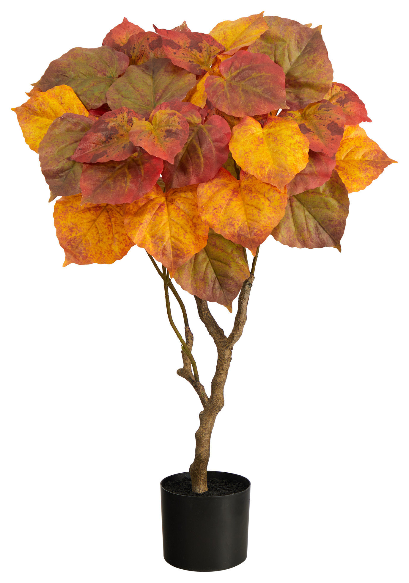 3' Autumn Umbrella Ficus Tree - Modern - Artificial Plants And Trees ...