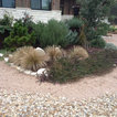 Aikido Dojo w/ Xeriscape Japanese Style Garden - Asian - Landscape ...