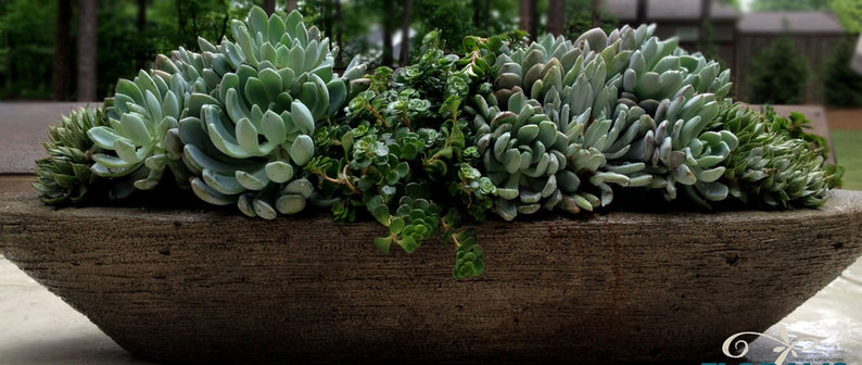 FLORALIS - Project Photos & Reviews - Atlanta, GA US | Houzz