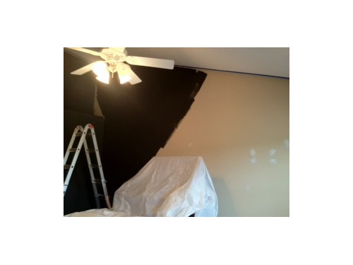 What do you do with pitched ceilings and a 4 foot ledge across room?