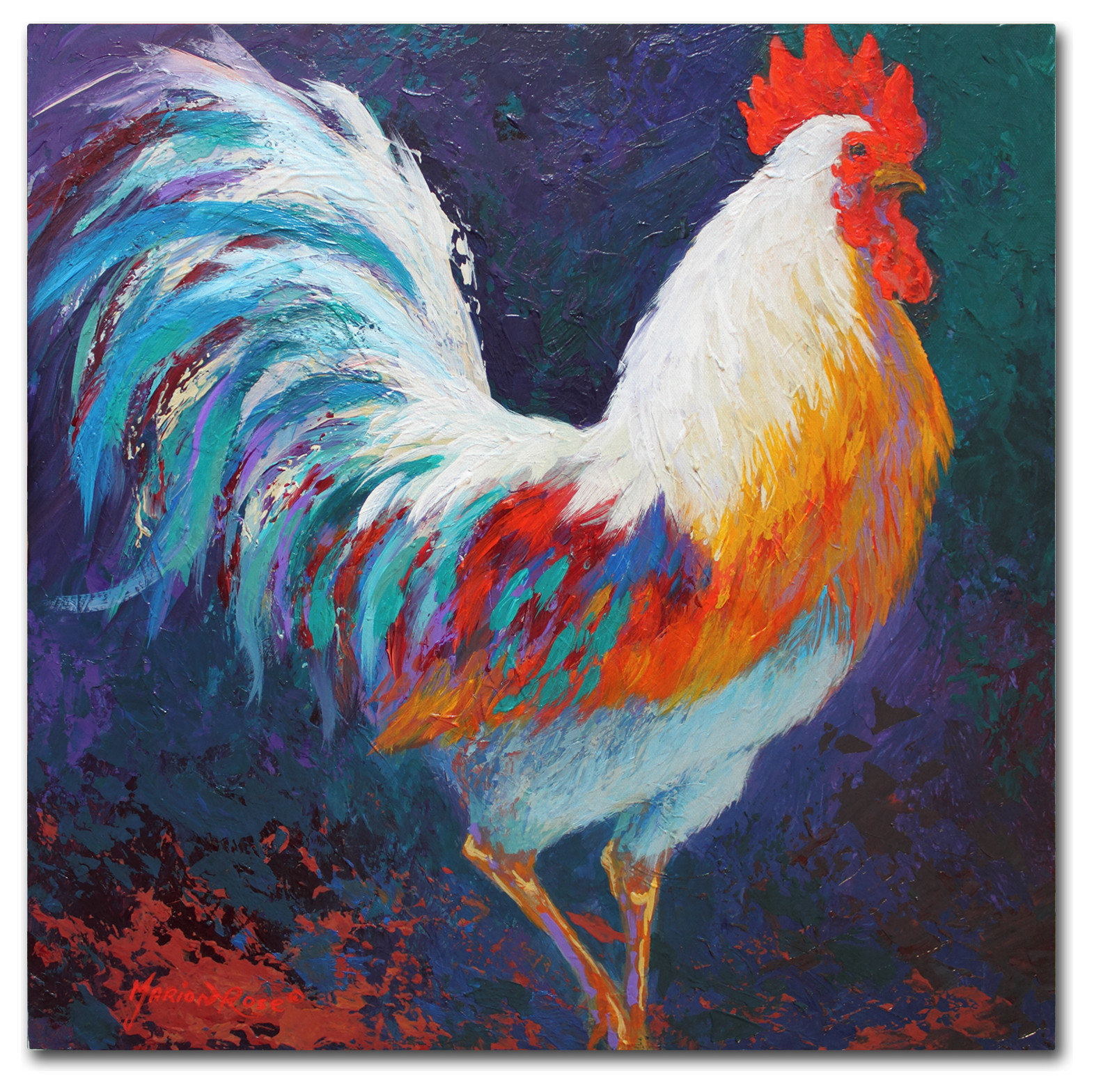 Marion Rose 'Rooster' Canvas Art, 24"x 24" - Farmhouse - Prints And ...