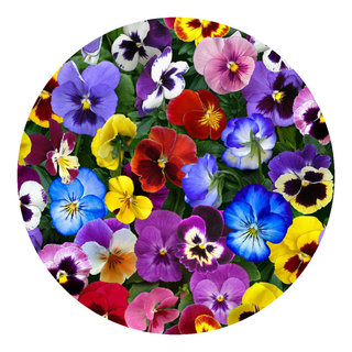 Andreas Pansy 8" Trivet - Modern - Trivets - by Andreas | Houzz