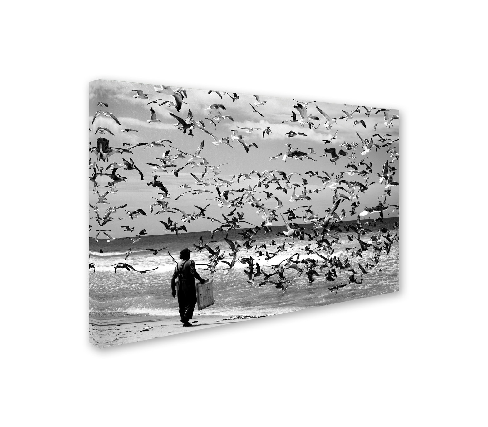 Liesbeth van Der 'Birds Birds' Canvas Art, 19"x 12" - Beach Style ...