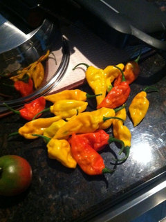 Ghost pepper colors