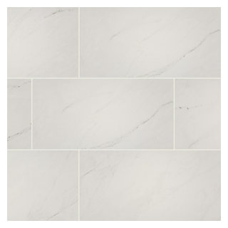 Aria Ice 12x24 Polished Porcelain Tile - Traditional - Wall And Floor ...