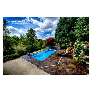 Sea Turtle Fiberglass Pool by Thursday Pools - Pool - Detroit - by ...