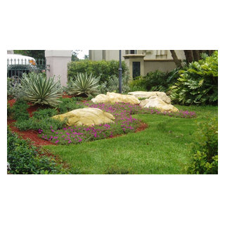 South Florida flowering ground cover plant - Tropical - Landscape ...