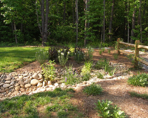 Bog Garden Home Design Ideas, Pictures, Remodel and Decor