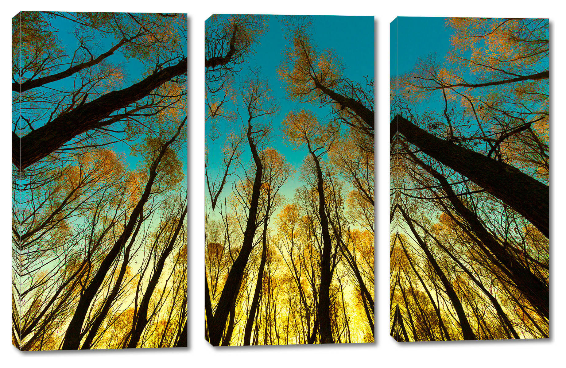 Trees In Forest Canvas Print, 3 Panel Split, Triptych Wall Art, 24x16 ...