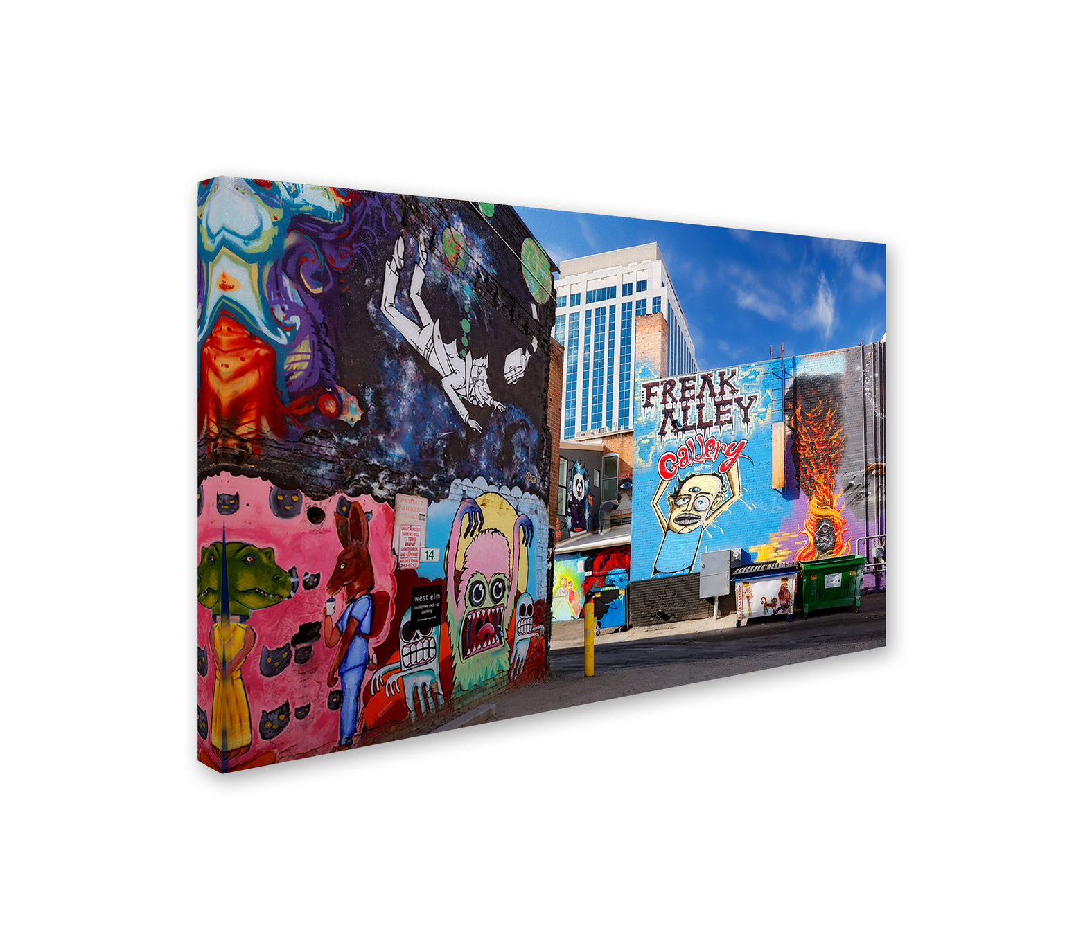 Mike Jones Photo 'Boise Freak Alley' Canvas Art, 30"x47" - Contemporary ...
