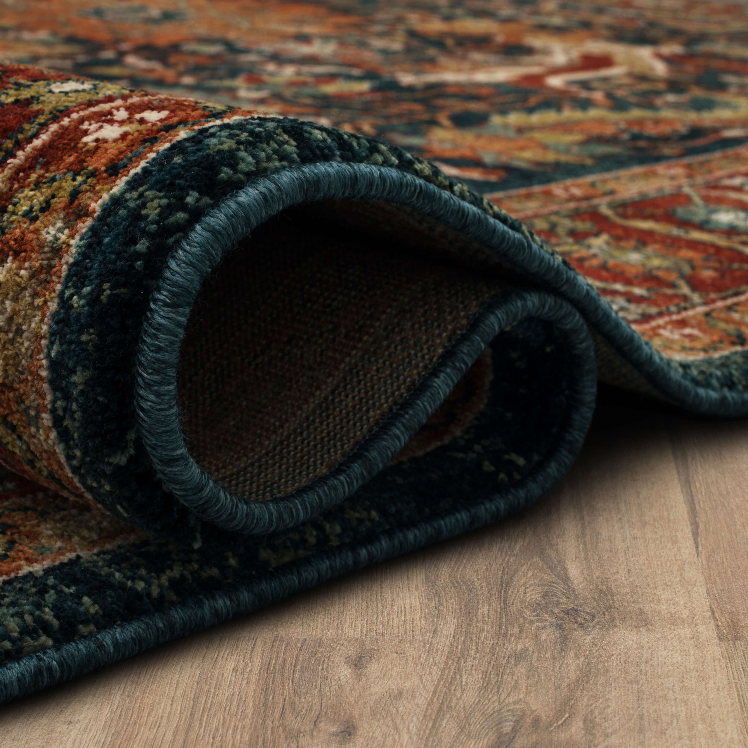 Karastan Rugs Amara Area Rug, 2' 4" x 7' 10" - Traditional - Hall And ...