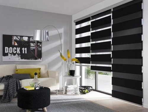 Window treatment duo roller shade