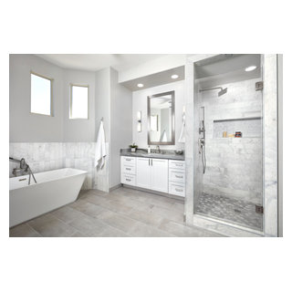 Icon Silver Matte Porcelain Bathroom - Transitional - Bathroom ...