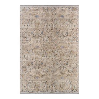 Surya Rivaldo RVD-2309 Machine Woven Area Rug, 7'10" x 10 ...