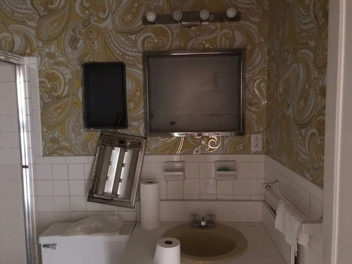 Disgusting Bathrooms | Houzz Forum