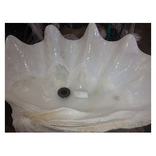 Real Clam Shell Sink Project - Maritim - Sonstige - von Aust Marble ...