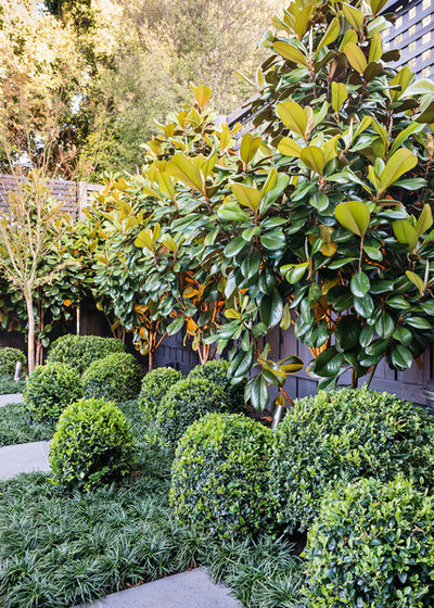 How to Create a Hamptons-Style Garden | Houzz AU