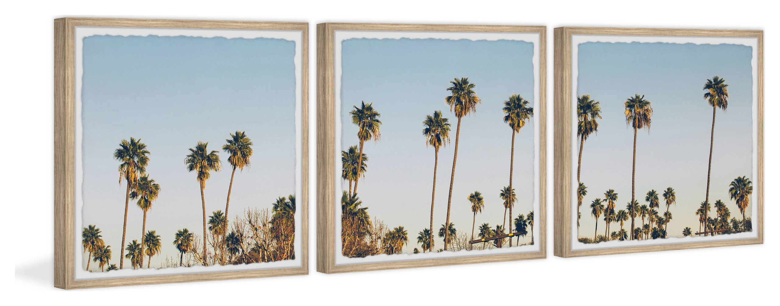 Palms Sunrise Triptych, 72"x24" - Tropical - Wall Accents - by Marmont Hill | Houzz