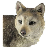 Gray Wolf Cub Standing Statue by Veronese Design - Rustic - Decorative ...