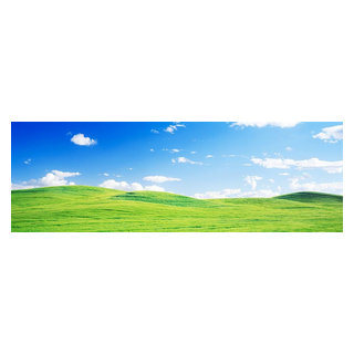 Green Fields Whitman County Panoramic Fabric Wall Mural, 36 in x 12 in ...