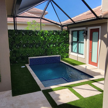 75 Beautiful Small Pool Ideas & Designs - December 2025 | Houzz AU