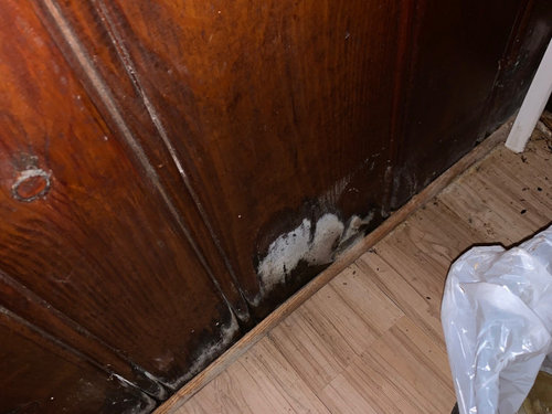 Water Damage from Exterior Wall