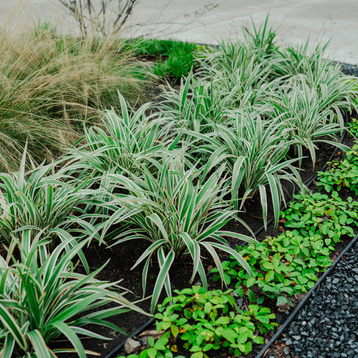75 Rock Driveway Ideas You'll Love - October, 2025 | Houzz