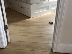 Recommendations for modern and light colored LVP