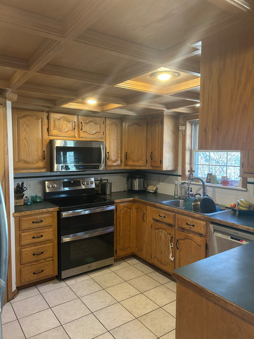 I need help updating my 90’s oak kitchen! | Houzz Forum