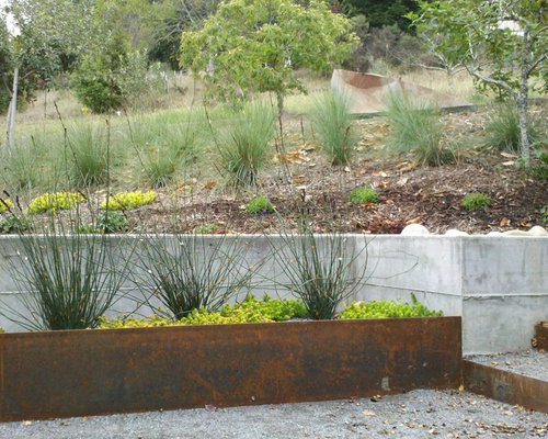 Rusted Steel Planter Ideas, Pictures, Remodel and Decor