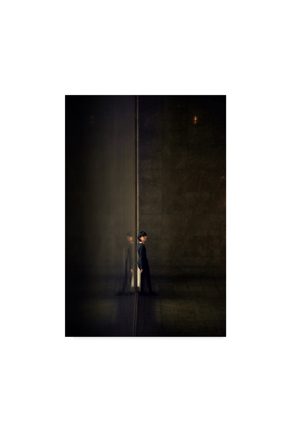 Yuqing 'Chiral' Canvas Art, 32"x22" - Contemporary - Prints And Posters ...