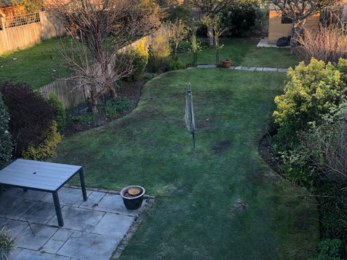 Garden layout ideas for bottom of garden/advice on waterlogged area ...