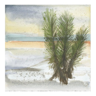 "Desert Yucca Cool" Digital Paper Print by Chris Paschke, 20"x20", 32 ...