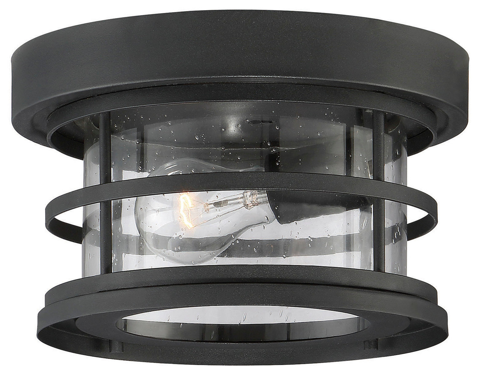 Barrett Outdoor Ceiling Light, 10" - Transitional - Outdoor Flush-mount ...