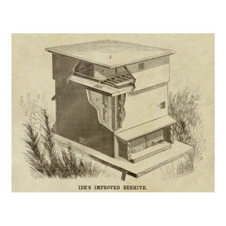 "Ide's Improved Beehive" Digital Paper Print by Inventions, 18"x14", 24 ...