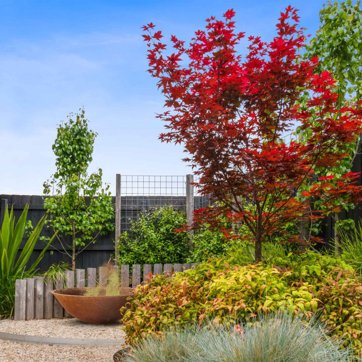 75 Beautiful Australian Native Garden Ideas & Designs - March 2026 ...