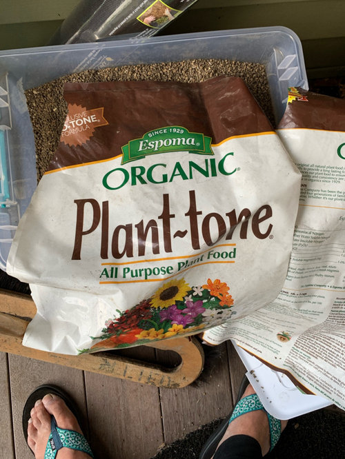 fertilizer using black cow manure