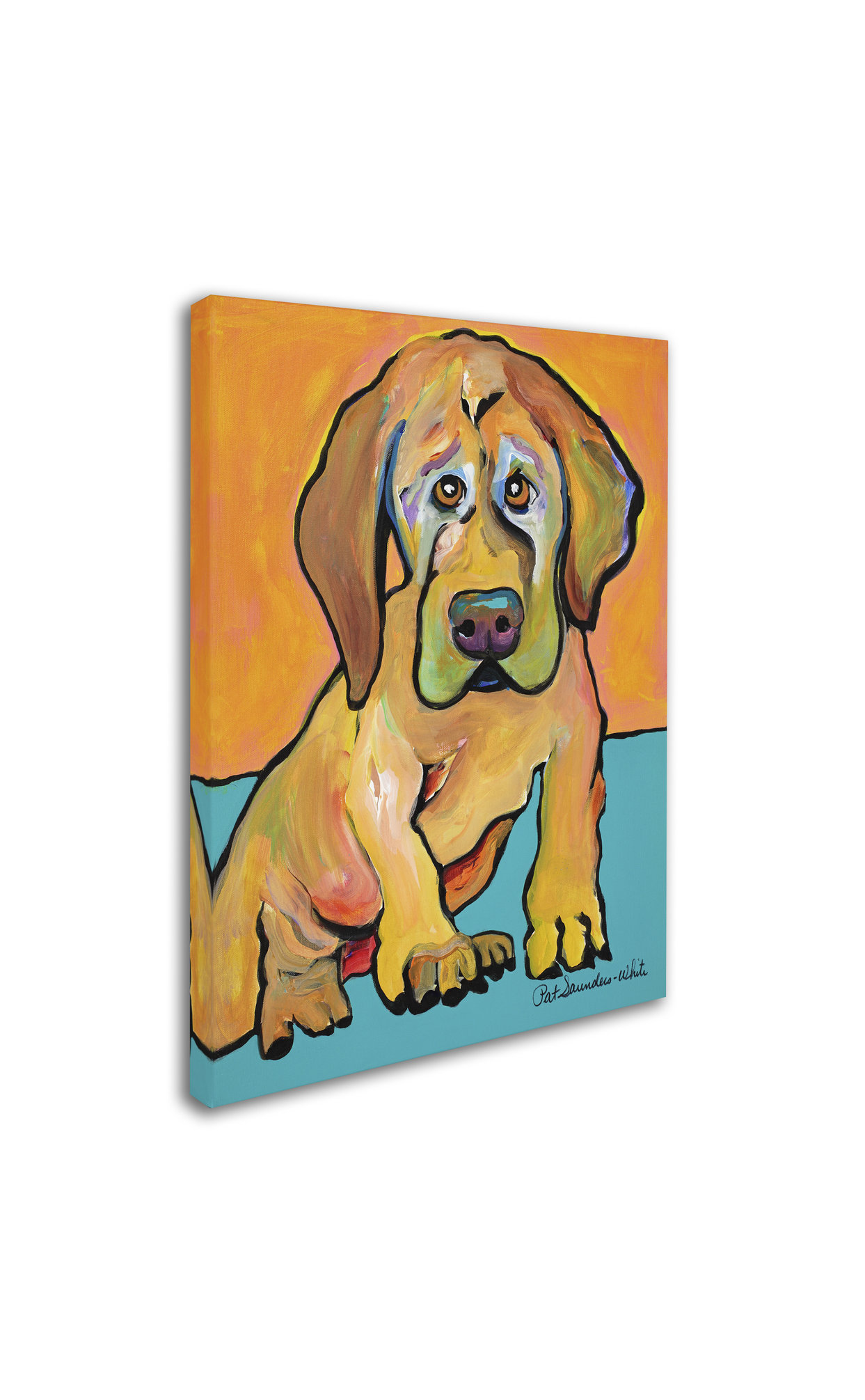 Pat Saunders-White 'Juno' Canvas Art, 18"x24" - Contemporary - Prints ...