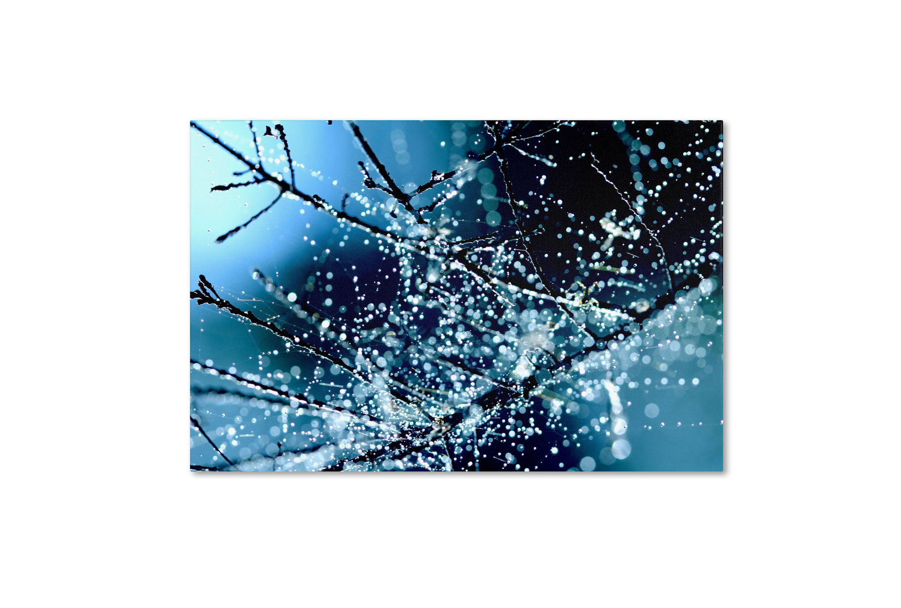 'Blue Rhapsody' Canvas Art by Beata Czyzowska Young, 30" x 47 ...