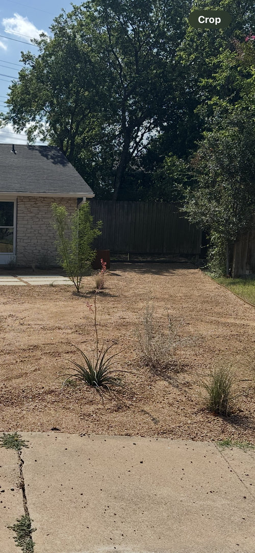 Wanted! Landscaping/design ideas needed for front yard | Houzz Forum