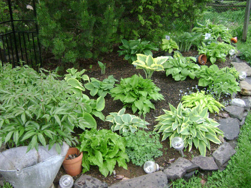 what my garden looks like today.