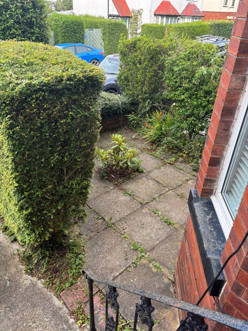 North facing terrace house front garden ideas | Houzz Forum