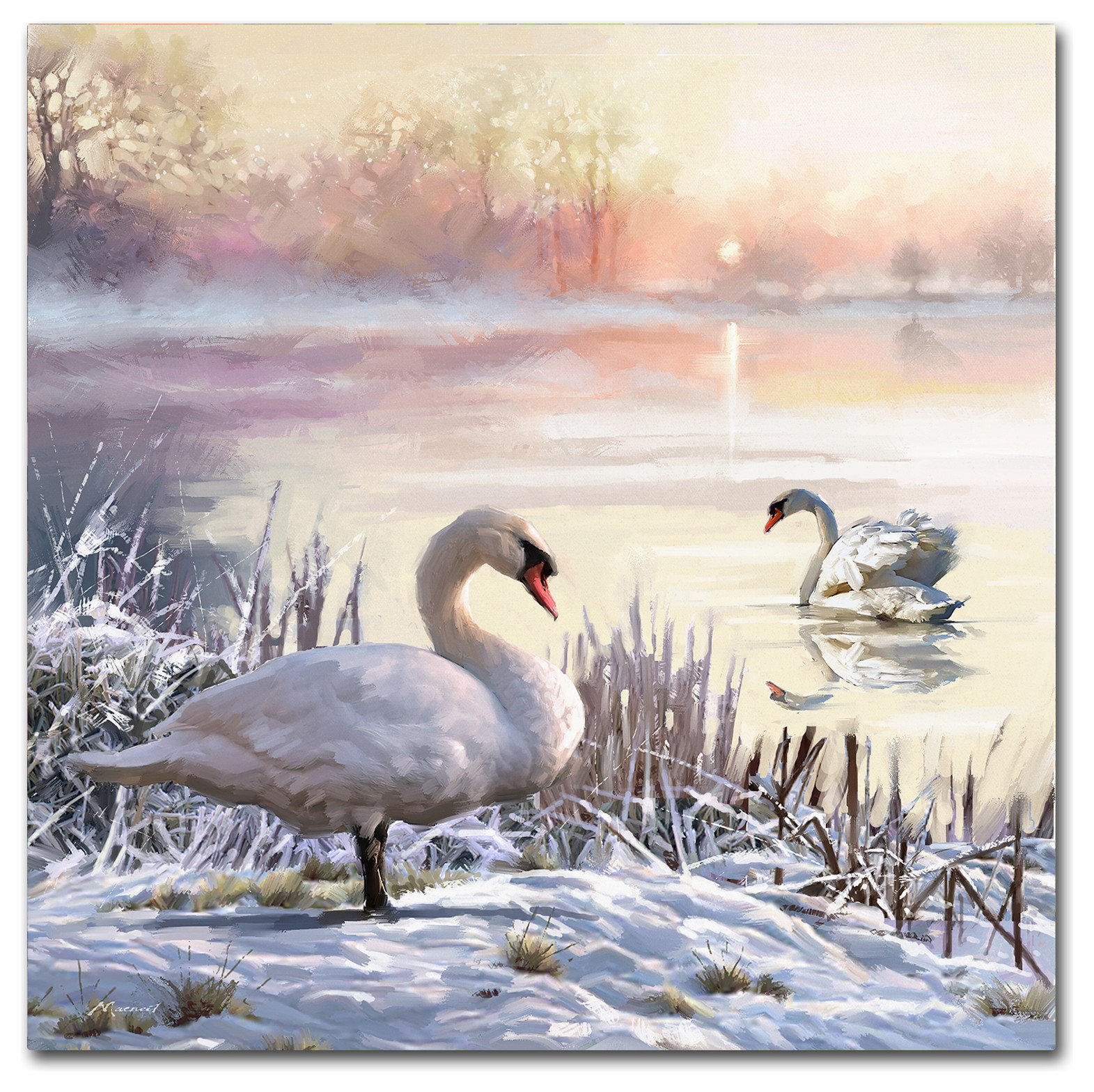 The Macneil Studio 'Winter Swans' Canvas Art, 24"x 24" - Contemporary ...