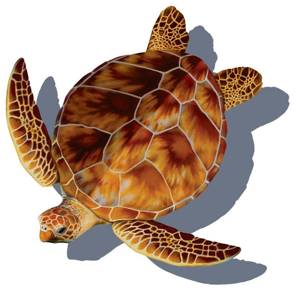 Loggerhead Turtle Porcelain Swimming Pool Mosaic, 10"x12" with shadow ...