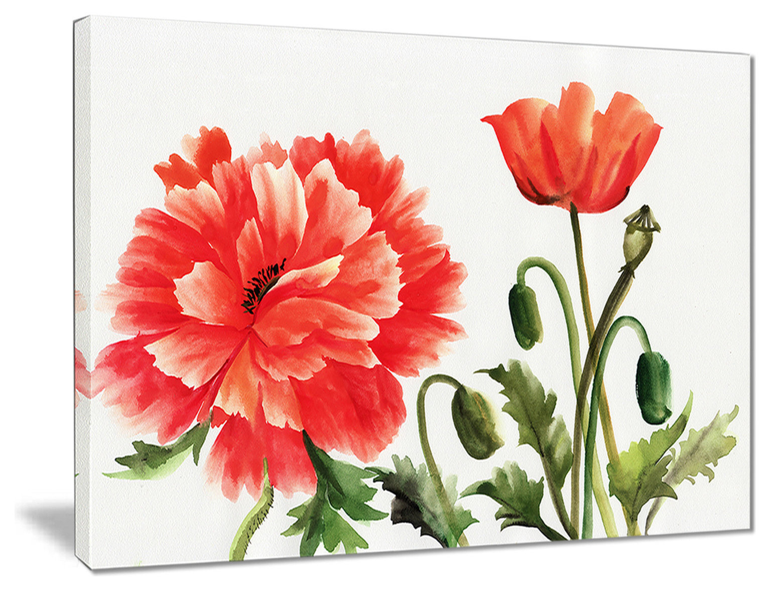 "Red Poppies" Canvas Print, 20"x12" - Contemporary - Prints And Posters ...