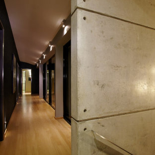 75 Beautiful Tray Ceiling Hallway Pictures & Ideas - November, 2020 | Houzz