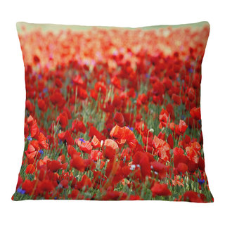 Thick Red Poppy Flower Field Floral Throw Pillow, 18"x18 - Farmhouse ...