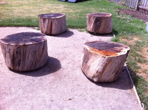 What to do with the Gum tree logs? | Houzz AU