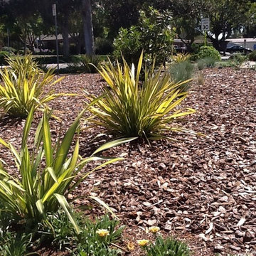 Street Corner Landscape - Photos & Ideas | Houzz