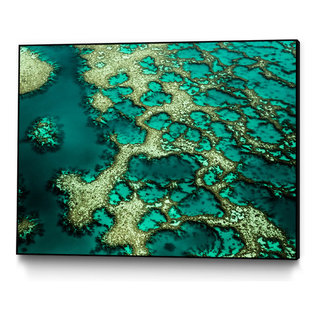 "Wrobel - Gondwana" Art block Framed Canvas, 24"x18" - Contemporary ...